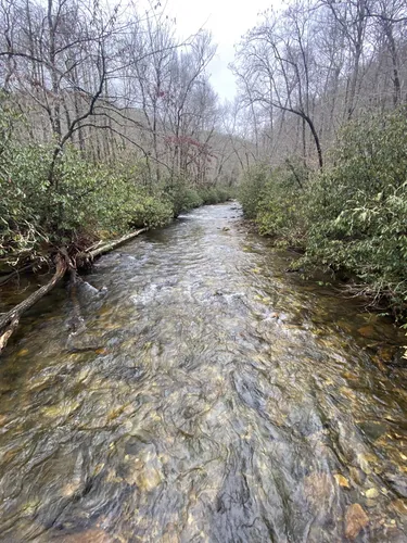 Best Trail Running Trails in Mills River | AllTrails