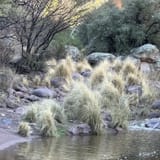 Second Water and Hackberry Spring Loop, Arizona - 1,935 Reviews, Map ...