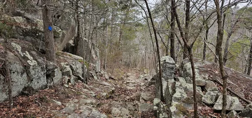 Best Hikes and Trails in Silver Mine Recreation Area | AllTrails