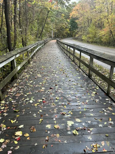10 Best Hikes and Trails in Yankee Springs Recreation Area | AllTrails