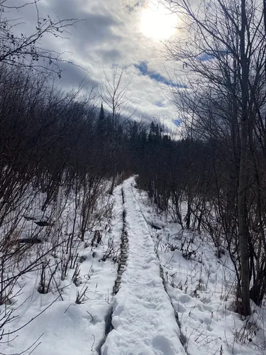 Best Hikes and Trails in East Montpelier Trails | AllTrails