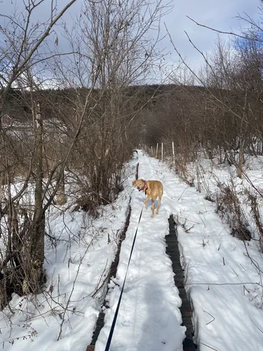 Best Hikes and Trails in East Montpelier Trails | AllTrails