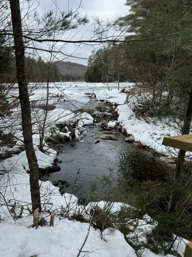Best Forest Trails in Hoffman Notch Wilderness | AllTrails