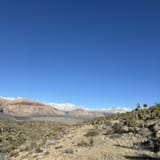 Fossil Ridge Loop, Nevada - 834 Reviews, Map | AllTrails