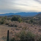 Cliffrose Trail, Arizona - 545 Reviews, Map | AllTrails