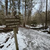 Beaver Brook Trail, Eastman Meadow Trail, and Maple Hill Ridge Loop ...