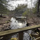 Beaver Brook Trail, Eastman Meadow Trail, and Maple Hill Ridge Loop ...