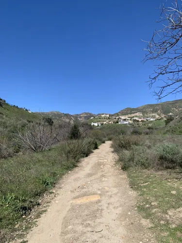 Best Hikes and Trails in Aliso Canyon Park | AllTrails
