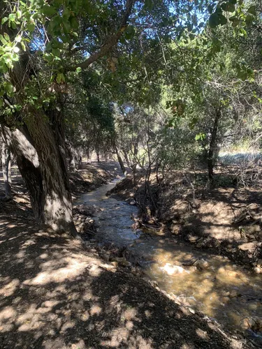 Best Hikes and Trails in Aliso Canyon Park | AllTrails