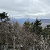 Devil's Path to the Jimmy Dolan Notch Overlook and Twin Mountain Summit ...