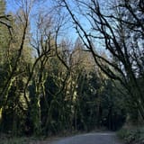 Lake to Lake Trail Loop via Lacamas Creek, Washington - 2,040 Reviews ...
