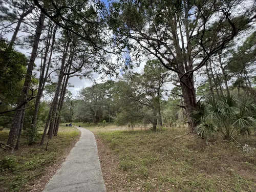 Best Hikes and Trails in Miramar Pineland Natural Area | AllTrails