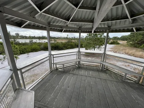 Best Hikes and Trails in Miramar Pineland Natural Area | AllTrails
