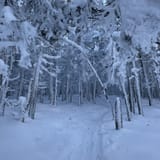 Mount Jackson and Mount Webster Trail Loop, New Hampshire - 2,145 ...