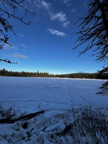 Best Hikes and Trails in McConnell Lake Provincial Park | AllTrails