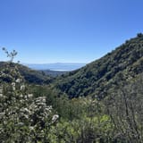 Inspiration Point, California - 3,859 Reviews, Map | AllTrails
