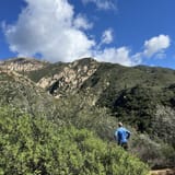 Inspiration Point, California - 3,859 Reviews, Map | AllTrails