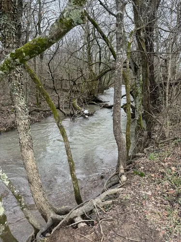 Best Hikes and Trails in Spring Hill | AllTrails