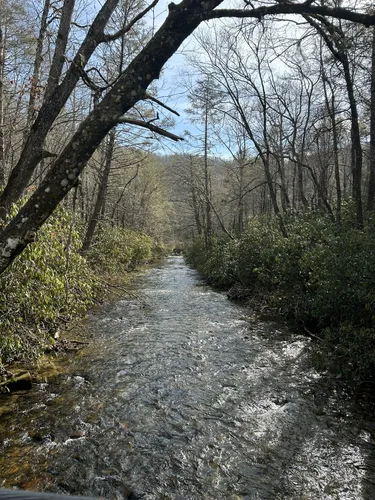 Best Kid Friendly Trails in Mills River | AllTrails