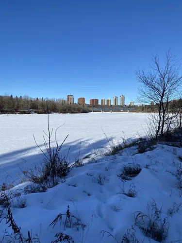 Best Hikes and Trails in Forest Heights Park | AllTrails