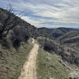 Polecat Loop Trail, Idaho - 899 Reviews, Map | AllTrails