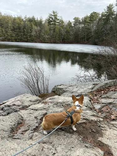 Best Forest Trails in Wakefield | AllTrails