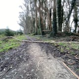 Bay Area Ridge Trail: San Francisco Presidio, California - 717 Reviews ...