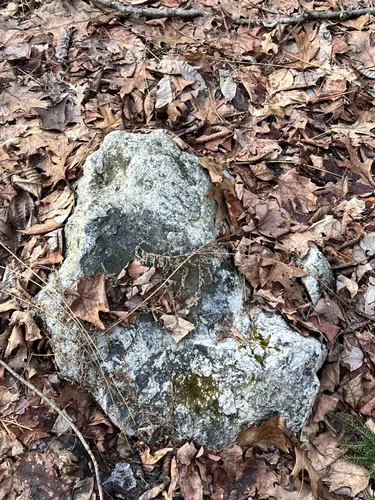 Best Hikes and Trails in Split Rock Conservation Area | AllTrails