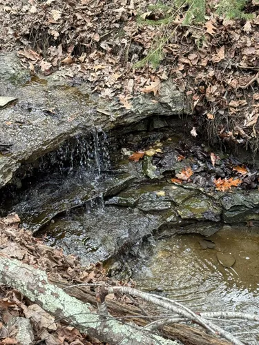 Best Hikes and Trails in Boyce Mayview Park | AllTrails