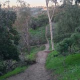 Murphy Ranch Trail , California - 1,429 Reviews, Map | AllTrails