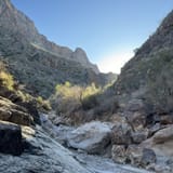 The Window Trail, Texas - 4,133 Reviews, Map | AllTrails