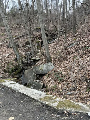 Best Hikes and Trails in Bolton Notch State Park | AllTrails