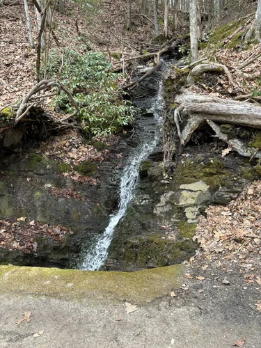 Best Hikes and Trails in Hop River State Park | AllTrails