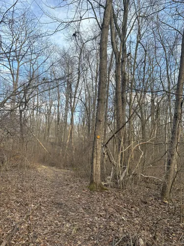 Best Hikes and Trails in Wappingers Falls | AllTrails