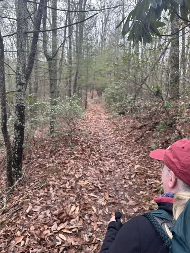 Best Hard Trails in Shady Valley | AllTrails