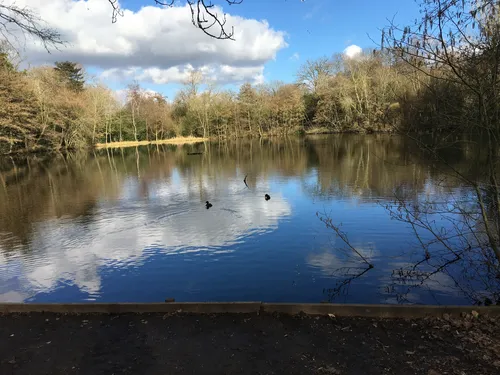 Best Hikes and Trails in Sandwell Valley Country Park | AllTrails