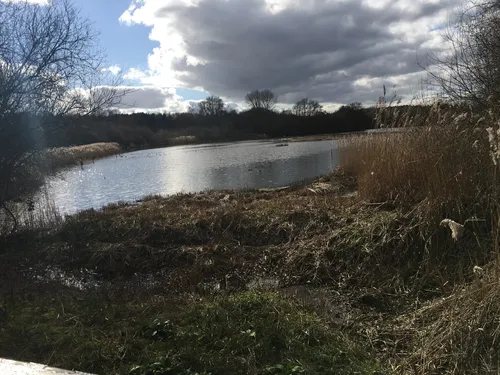 Best Hikes and Trails in Sandwell Valley Country Park | AllTrails