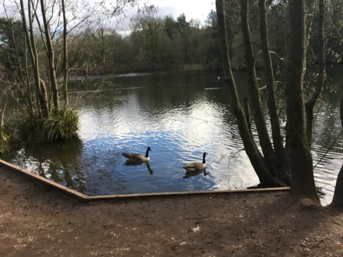 Best Hikes and Trails in Sandwell Valley Country Park | AllTrails