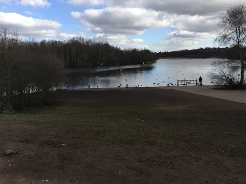 Best Hikes and Trails in Sandwell Valley Country Park | AllTrails