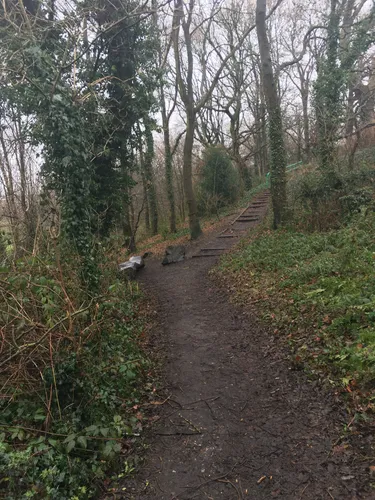 Best Hikes and Trails in Sandwell Park Farm | AllTrails