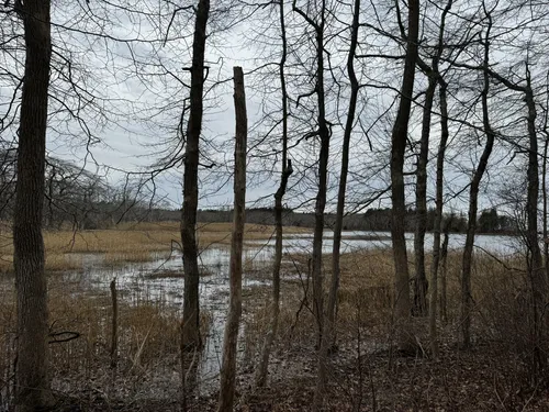 Best Hikes and Trails in Shawme-Crowell State Forest | AllTrails