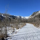 Cub Lake Loop, Colorado - 1,947 Reviews, Map | AllTrails