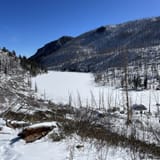 Cub Lake Loop, Colorado - 1,947 Reviews, Map | AllTrails