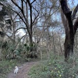 Santos and Vortex Area Bike Trails Loop, Florida - 728 Reviews, Map ...
