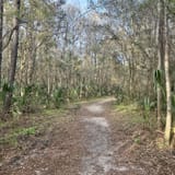 Blue Run Trail, Florida - 463 Reviews, Map | AllTrails