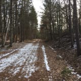 Bearskin State Trail, Wisconsin - 261 Reviews, Map | AllTrails