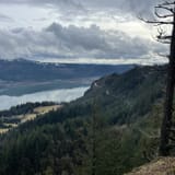 Cape Horn Loop Trail, Washington - 4,281 Reviews, Map | AllTrails