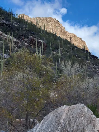 Best Hikes and Trails in Summerhaven | AllTrails