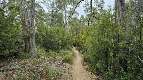 Best Hikes and Trails in Alum Cliffs State Reserve | AllTrails