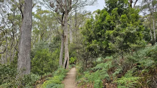 Best Hikes and Trails in Alum Cliffs State Reserve | AllTrails